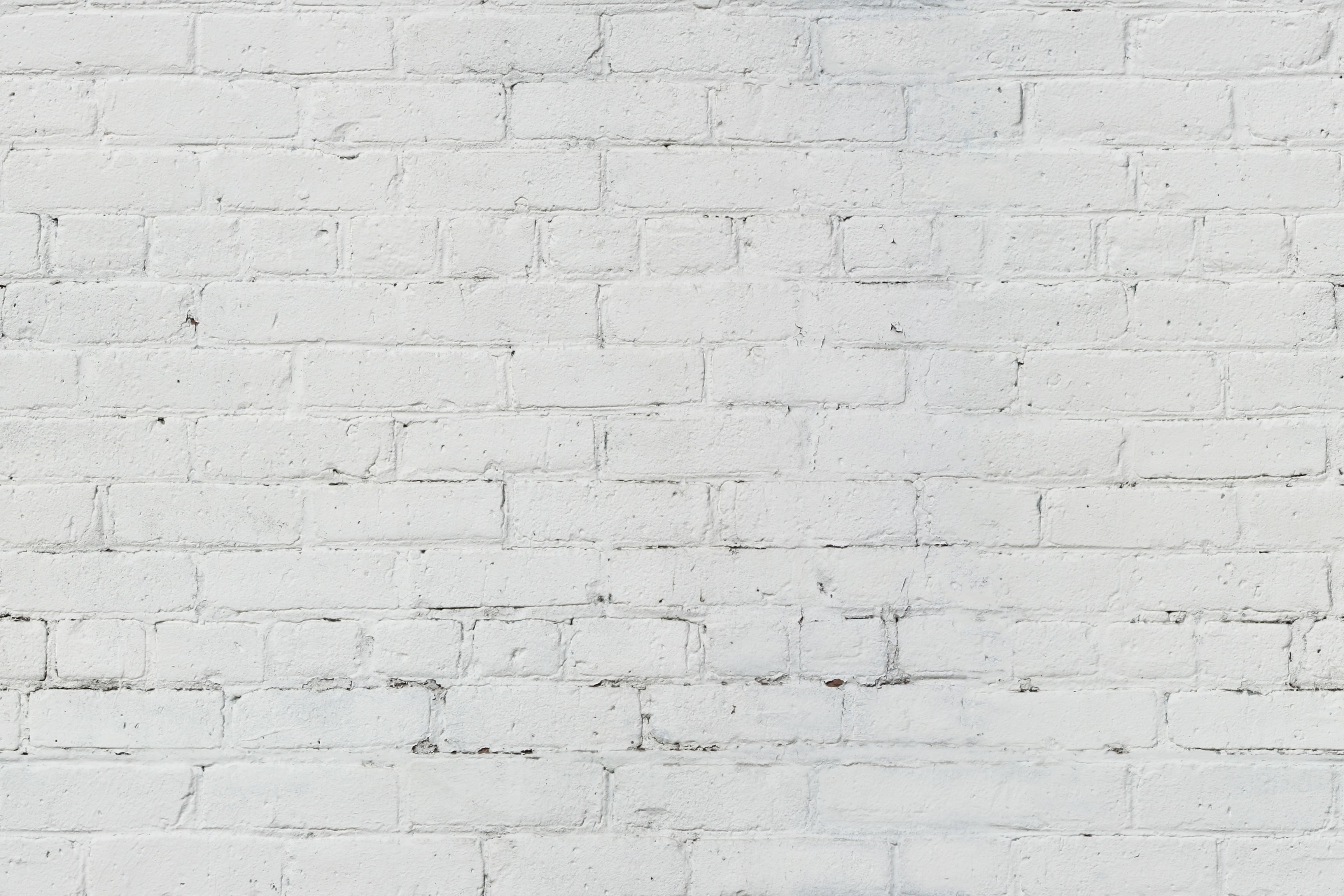 Non-Powered Brushes – Digilube Systems